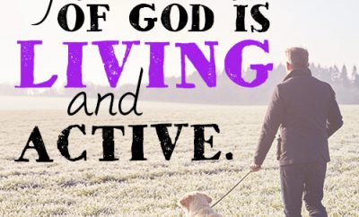 Christian Quote Images About Bible