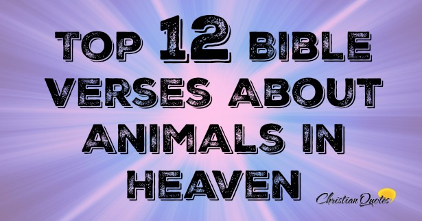 Best 12 Bible Verses About Animals In Heaven ChristianQuotes info best-12-bible-verses-about-animals-in-heaven-christianquotes-info