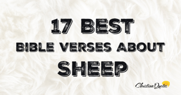 17 Best Bible Verses About Sheep | ChristianQuotes.info